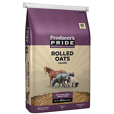 CONTI FEED ITEMS – Continental Giants